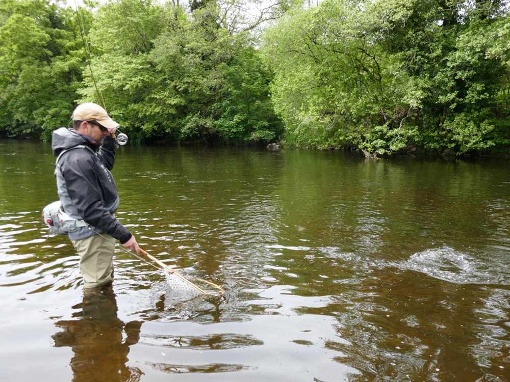 Mayfly Fishing Tips