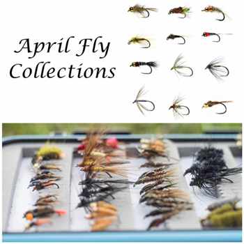 Fly Collections