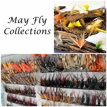 Fly Collections