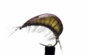 Trout Nymph Fly Patterns