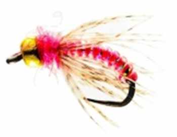 Trout Nymph Fly Patterns