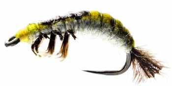 Trout Nymph Fly Patterns