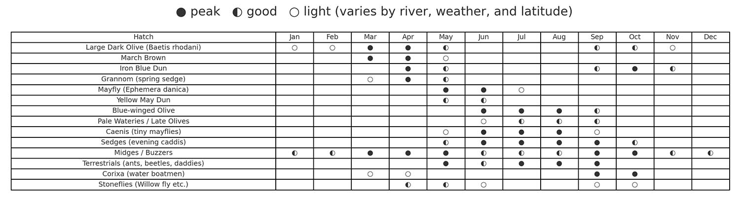 Beginners Fly Fishing Brief Guide To Trout Fly Hatches