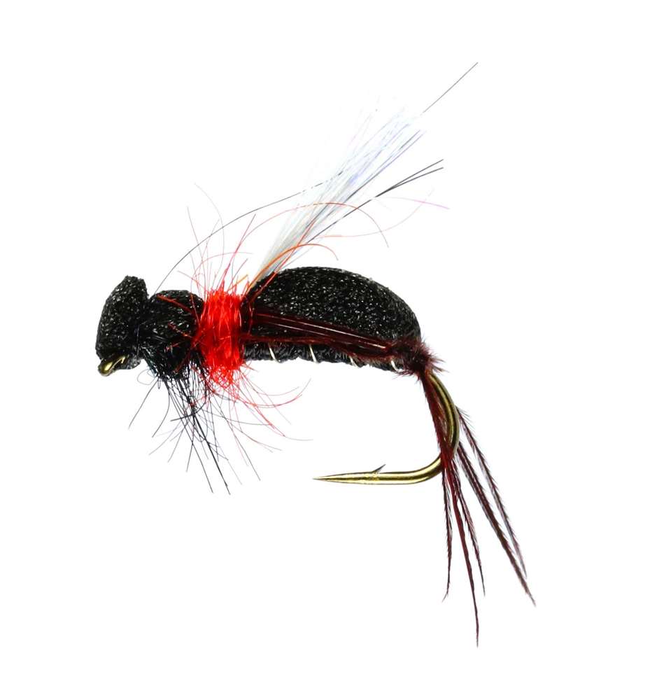 Fly In Focus - Hopper