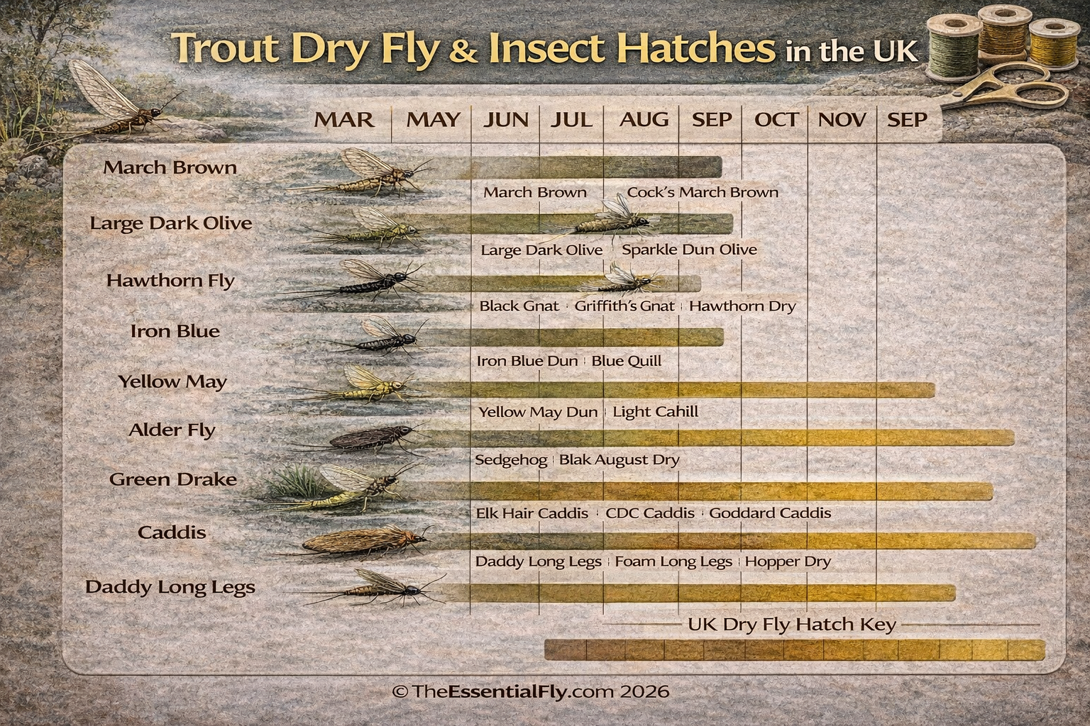 Trout Flies and Matching the Hatch