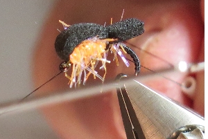 Sandys Assassin Emerger Fly Pattern Fly Tying Materials