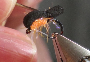 Sandys Assassin Emerger Fly Pattern Fly Tying Materials