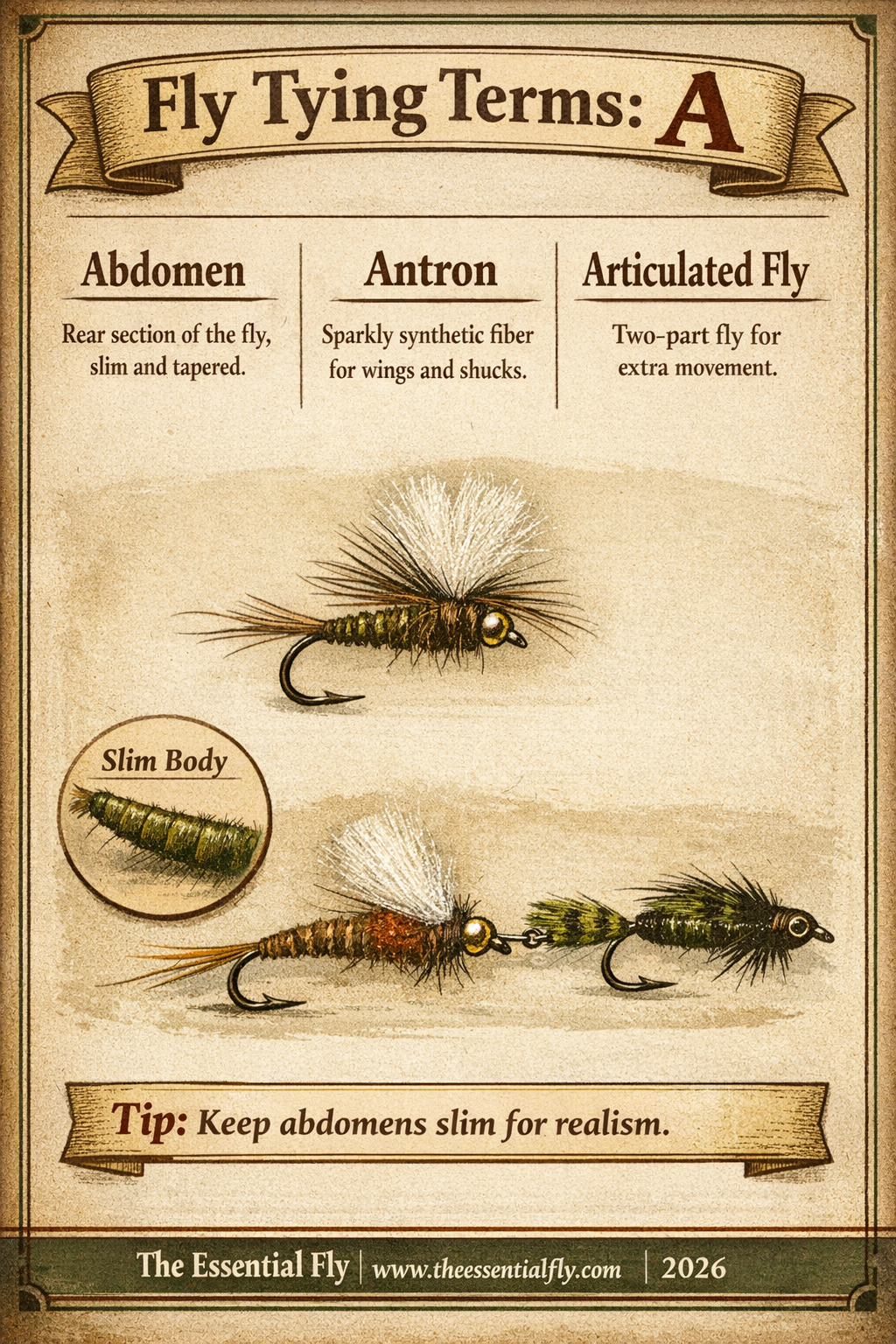 2026 Beginners Fly Tying Glossary - What Do All This Things Mean?