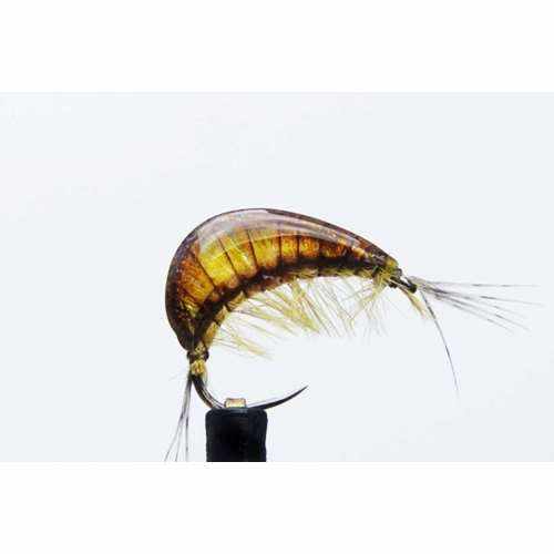 Brands Gaga Flies