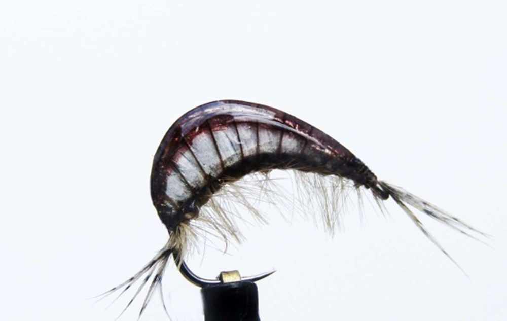 Gammarus Very Light Grey for Fishing Flies from The Essential Fly