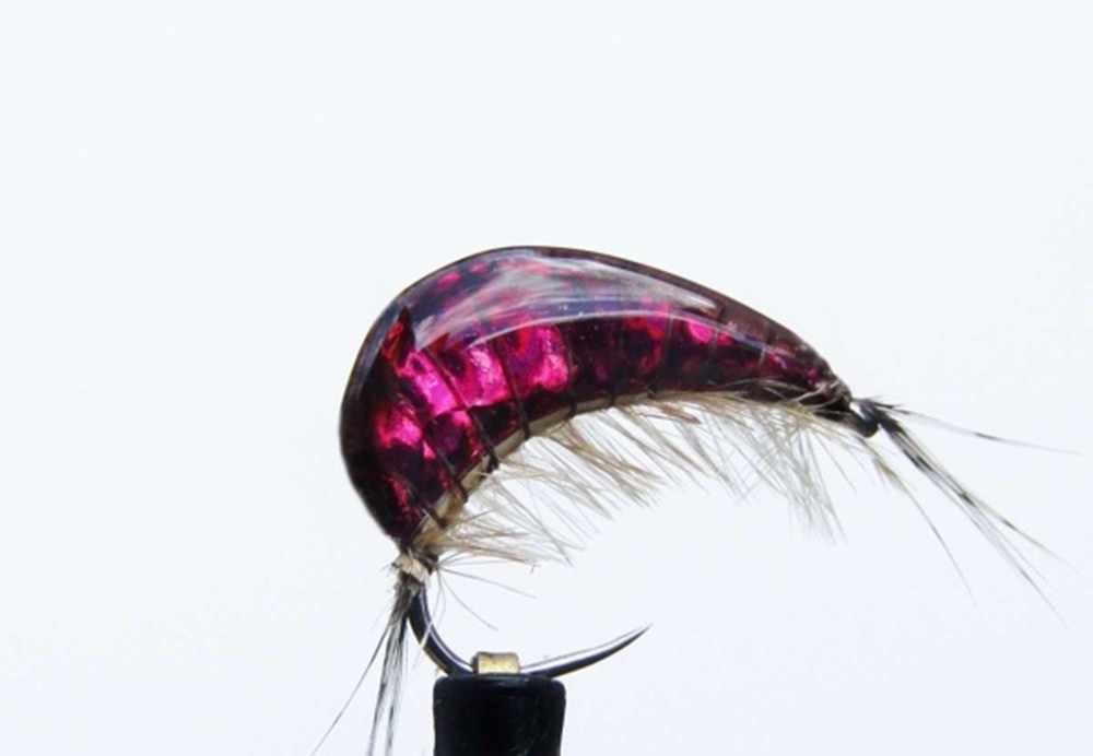 Sale - Gaga Gammarus Purple #10 Shrimp Fishing Fly Also Called Scud Fly