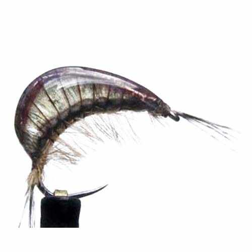 Gammarus Cool Grey for Fishing Flies from The Essential Fly