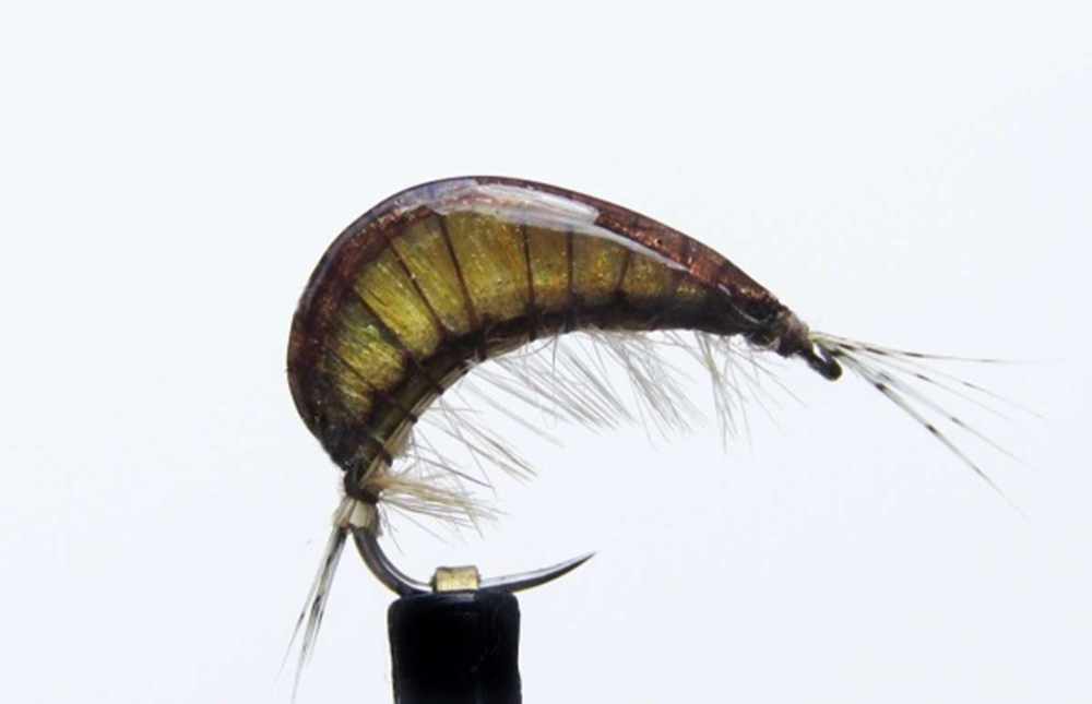 Gammarus Maize for Fishing Flies from The Essential Fly