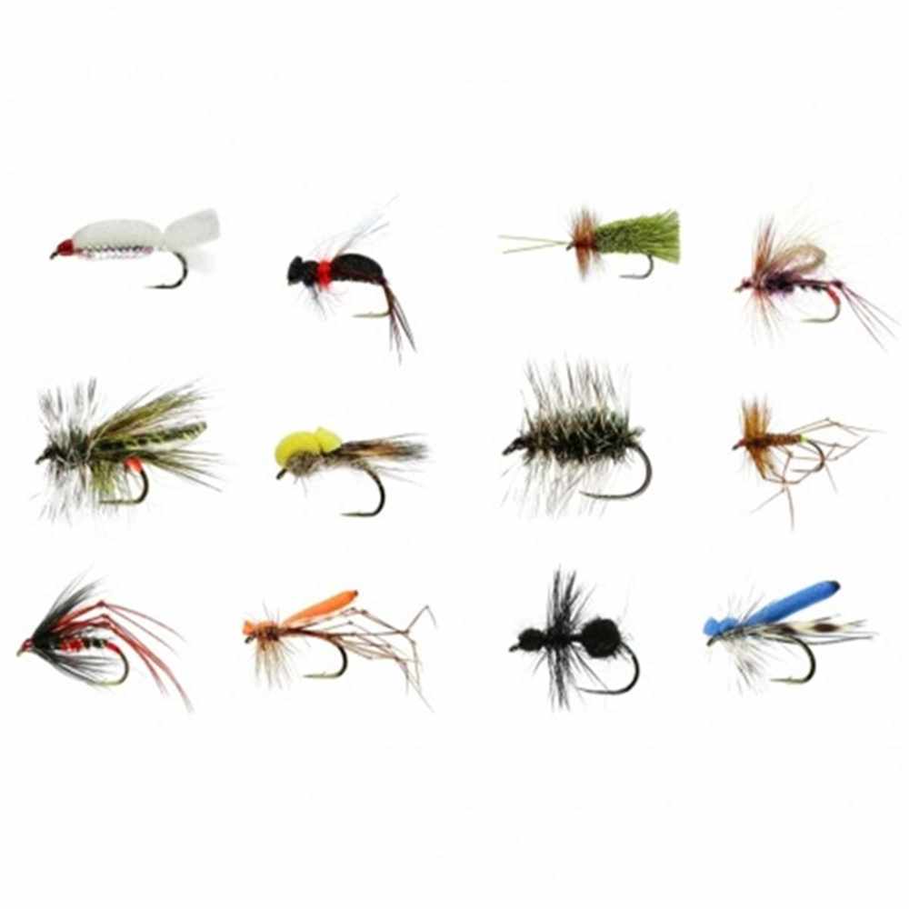 September Stillwater Dry Collection Fishing Fly Assortment