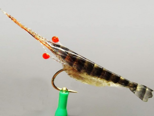 SemperSkin Shrimp Medium (Hook #6) Mottled Orange Brown for Fly Tying