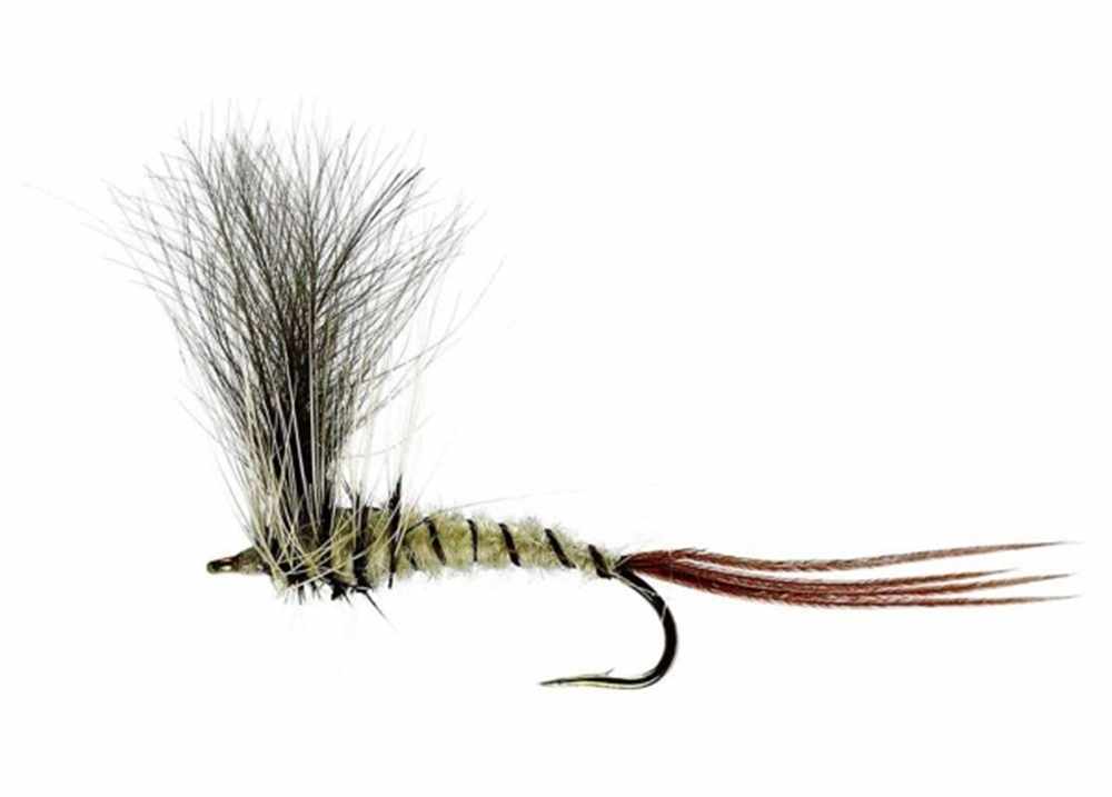 Brown & Rainbow Trout Fishing Flies Patterns