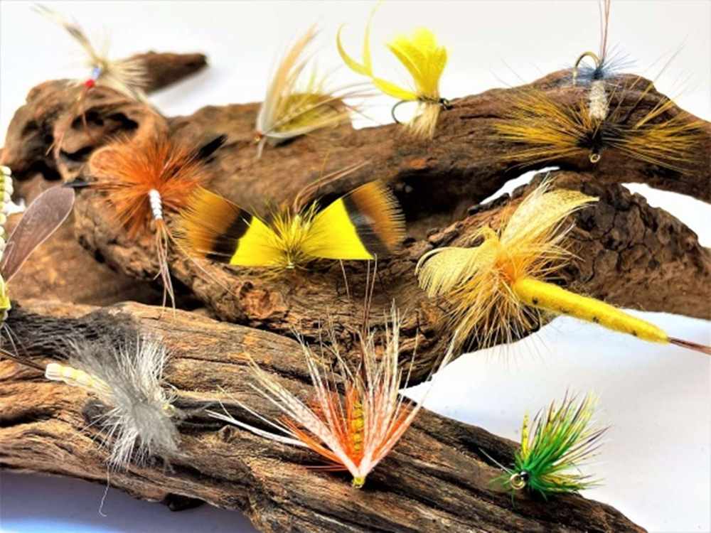 Mayfly Patterns Stunning At Duffers Fortnight