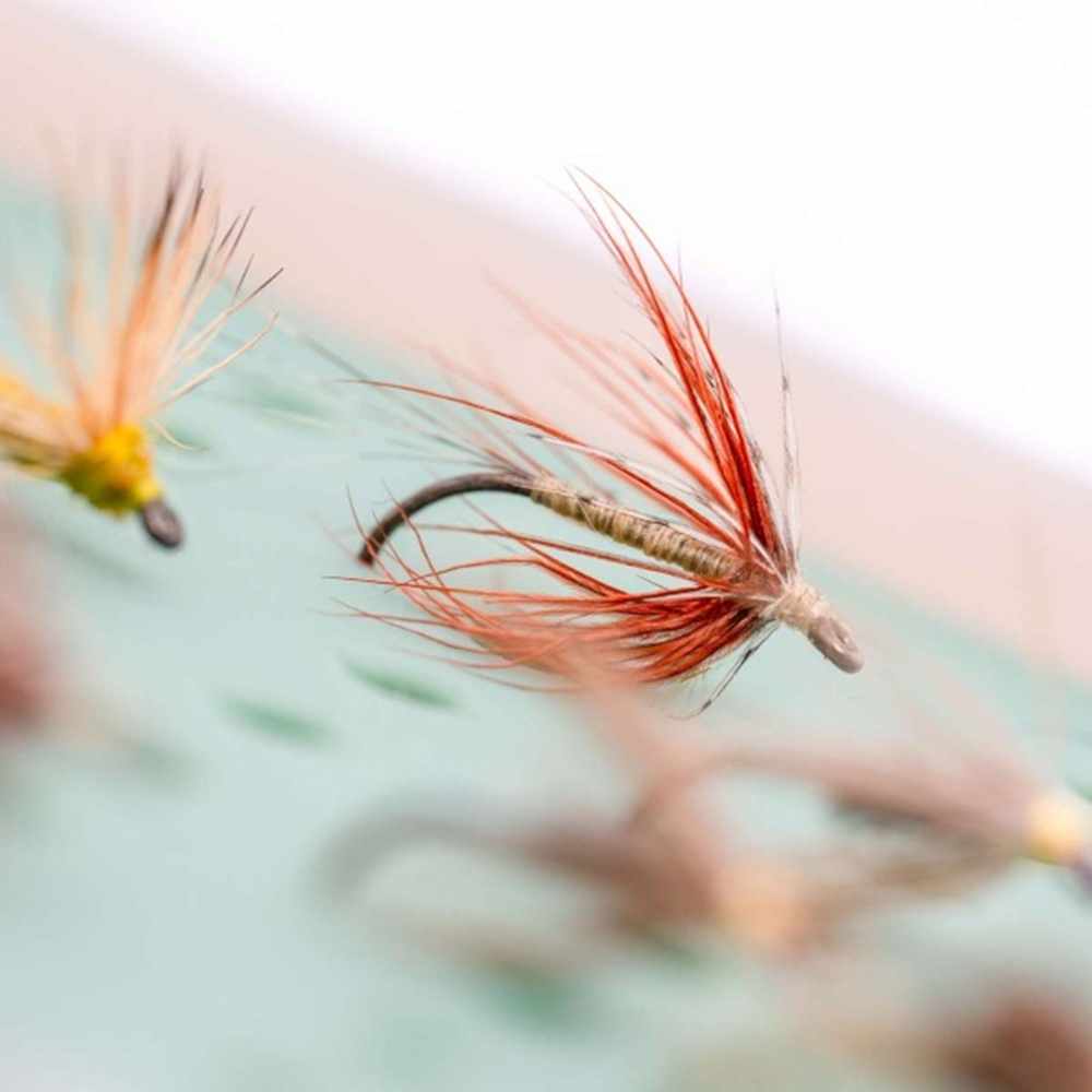 Olive Trout Selection Fly Box Fishing Fly Assortment Fishing Flies