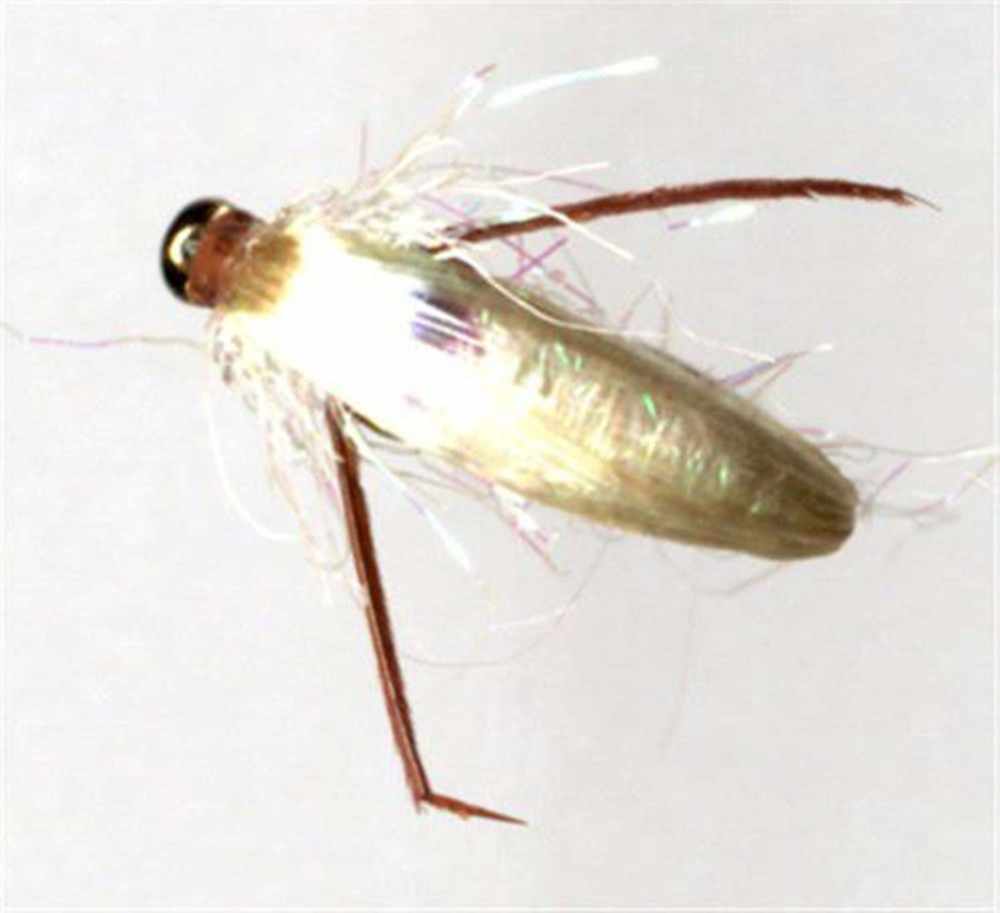 Spectral Bug Pearl for Fishing Flies from The Essential Fly