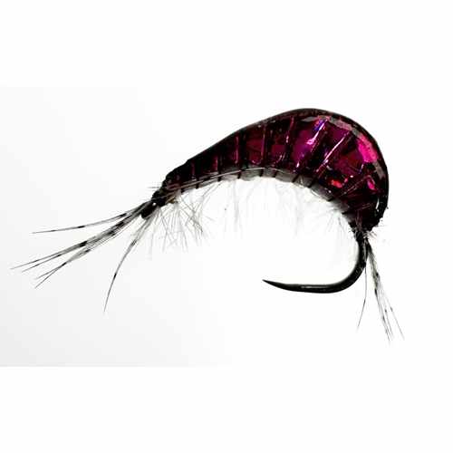 Brands Gaga Flies