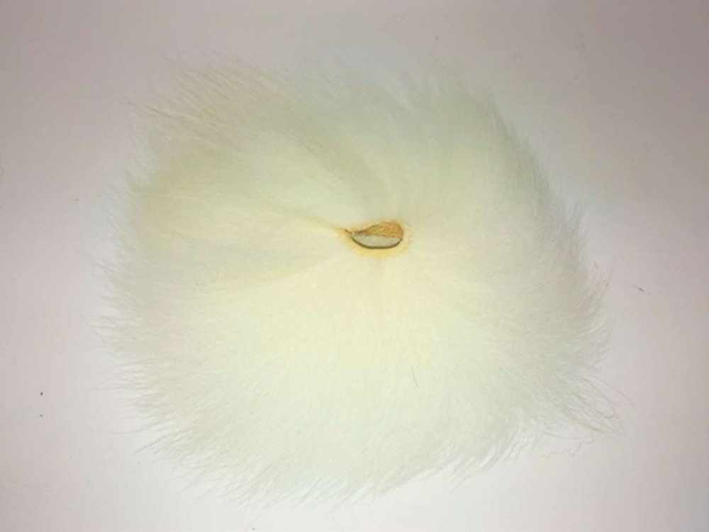 Our Full Range Fly Tying Furs