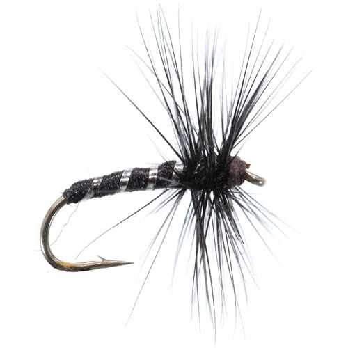 Fly Fishing & Fly Tying Shop