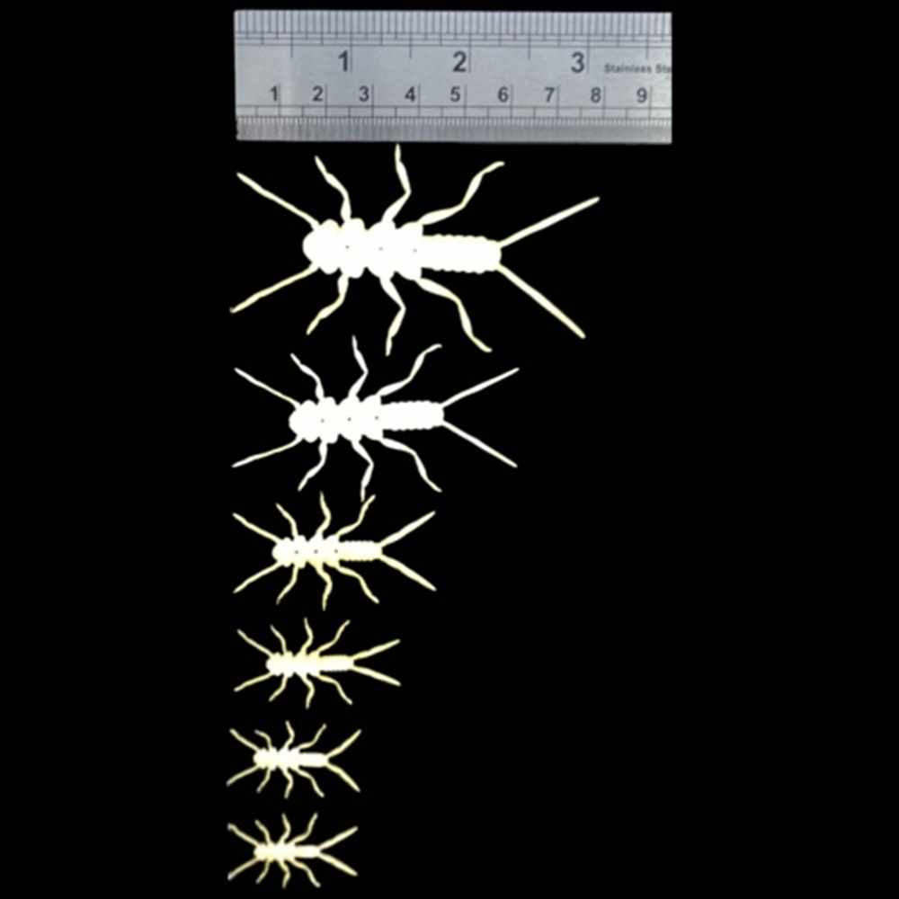 Fly Tying Artificial Bodies