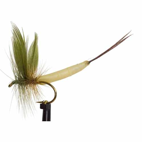 Brown & Rainbow Trout Fishing Flies Patterns