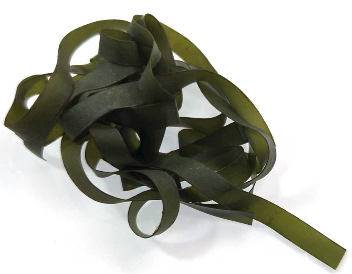 Scud Back 6mm Olive for Fly Tying from The Essential Fly