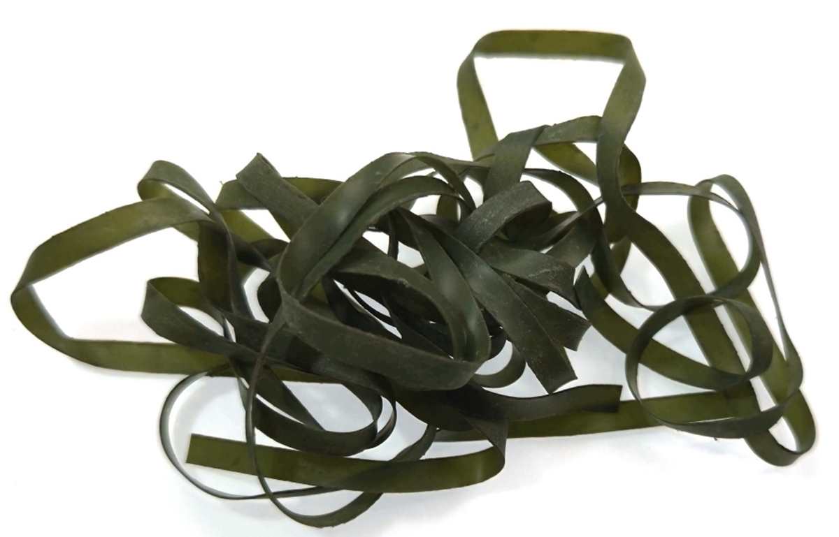 Scud Back 3mm Olive for Fly Tying from The Essential Fly