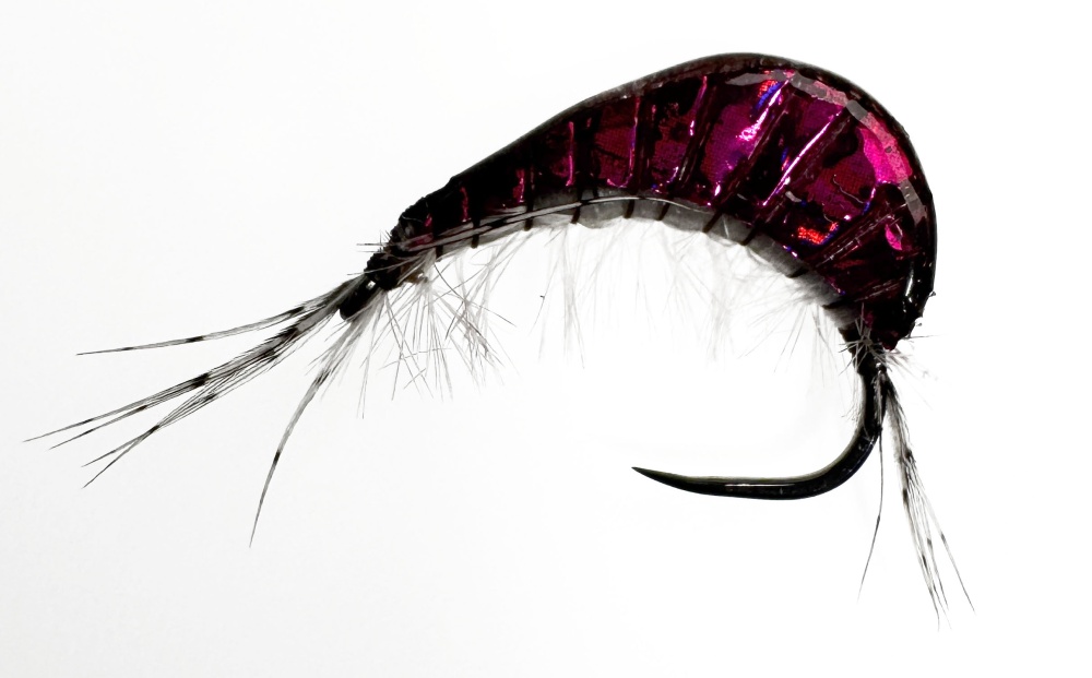Gammarus Purple for Fishing Flies from The Essential Fly