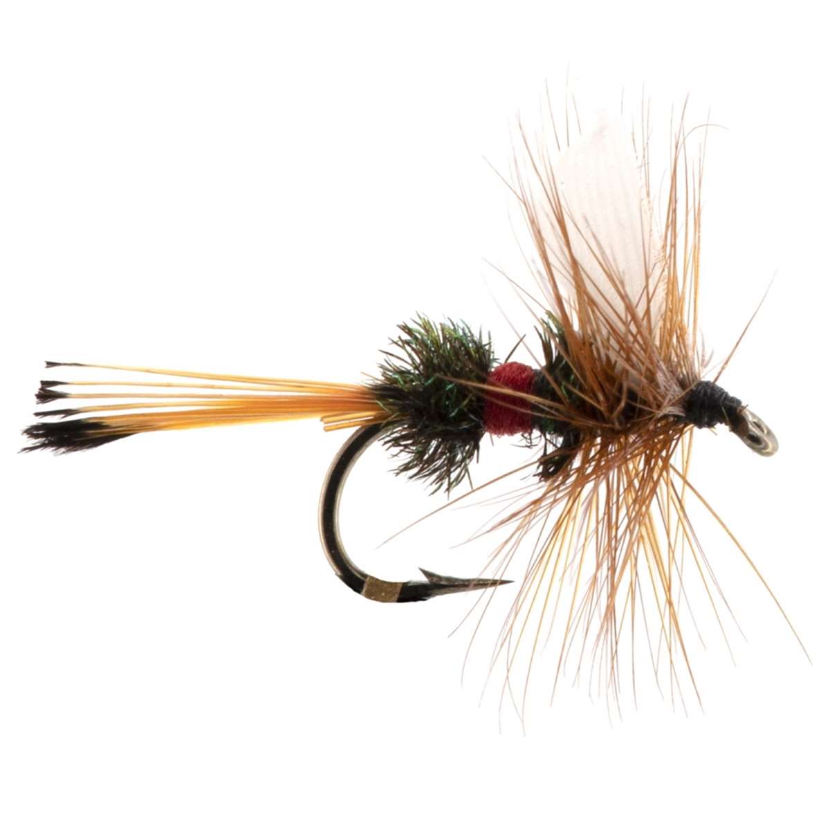 Royal Coachman Dry for Fishing Flies from The Essential Fly