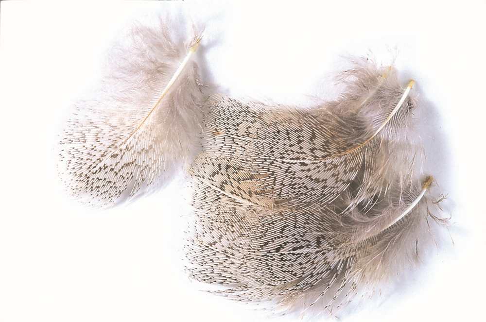 Veniard Grey Neck for Fly Tying from The Essential Fly