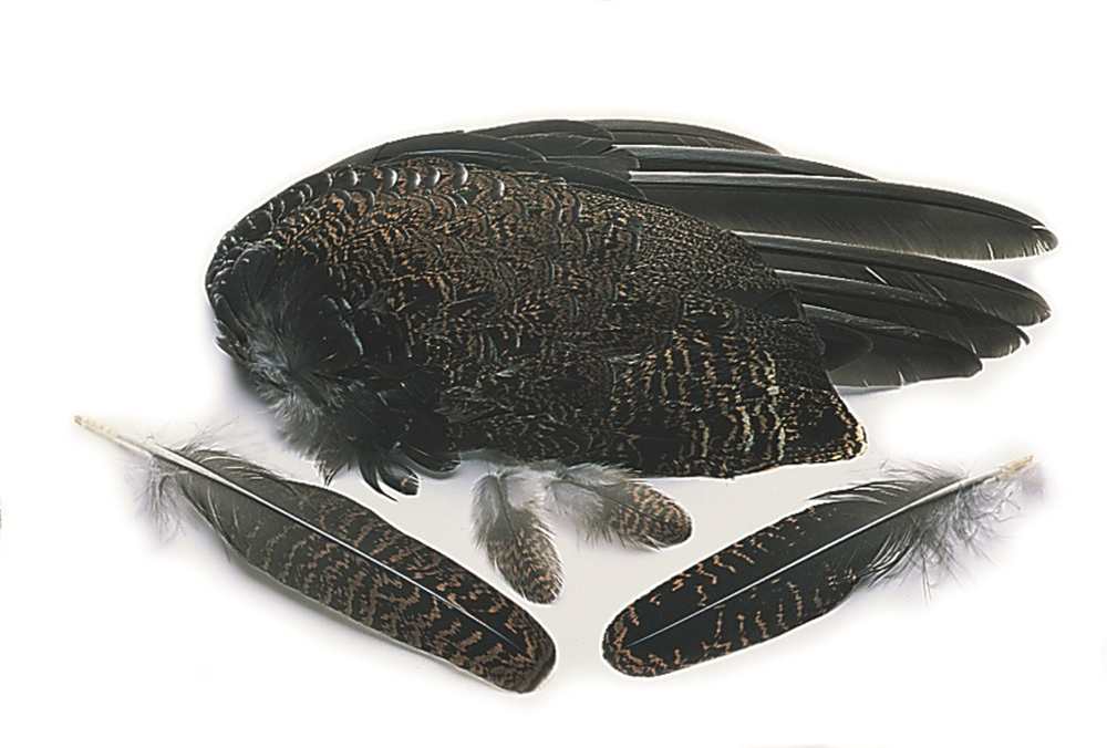 Veniard Grouse Body Plumage for Fly Tying from The Essential Fly