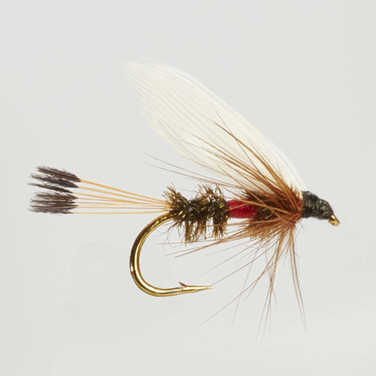 Royal Coachman #12 for Fishing Flies from The Essential Fly