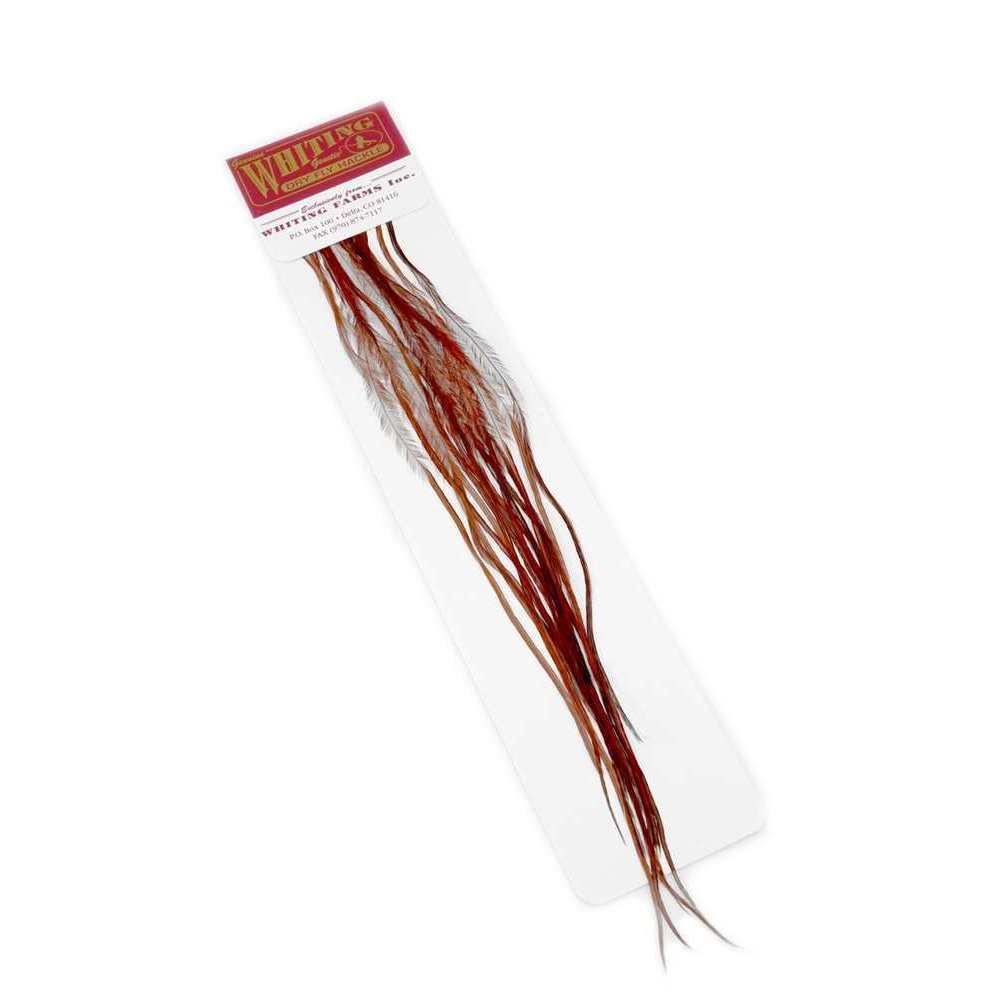 Whiting Whiting 100-pk Size 20