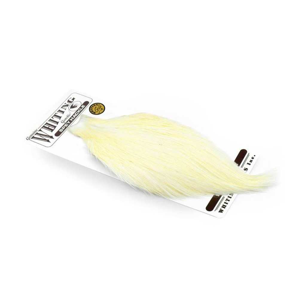 Whiting Spey Hackle Rooster Cape Gold