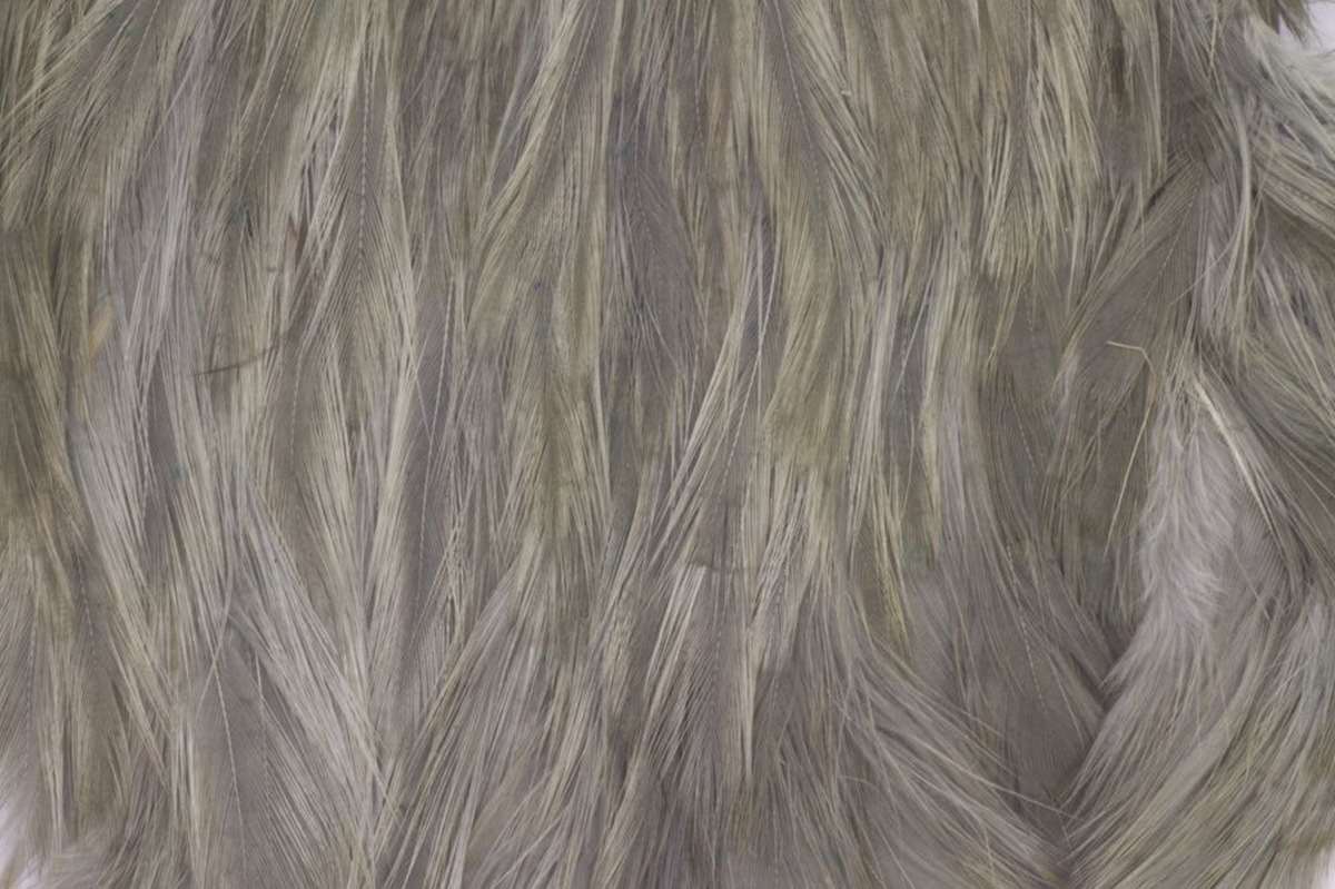 Turrall Indian Hen Neck Blue Dun for Fly Tying from The Essential Fly