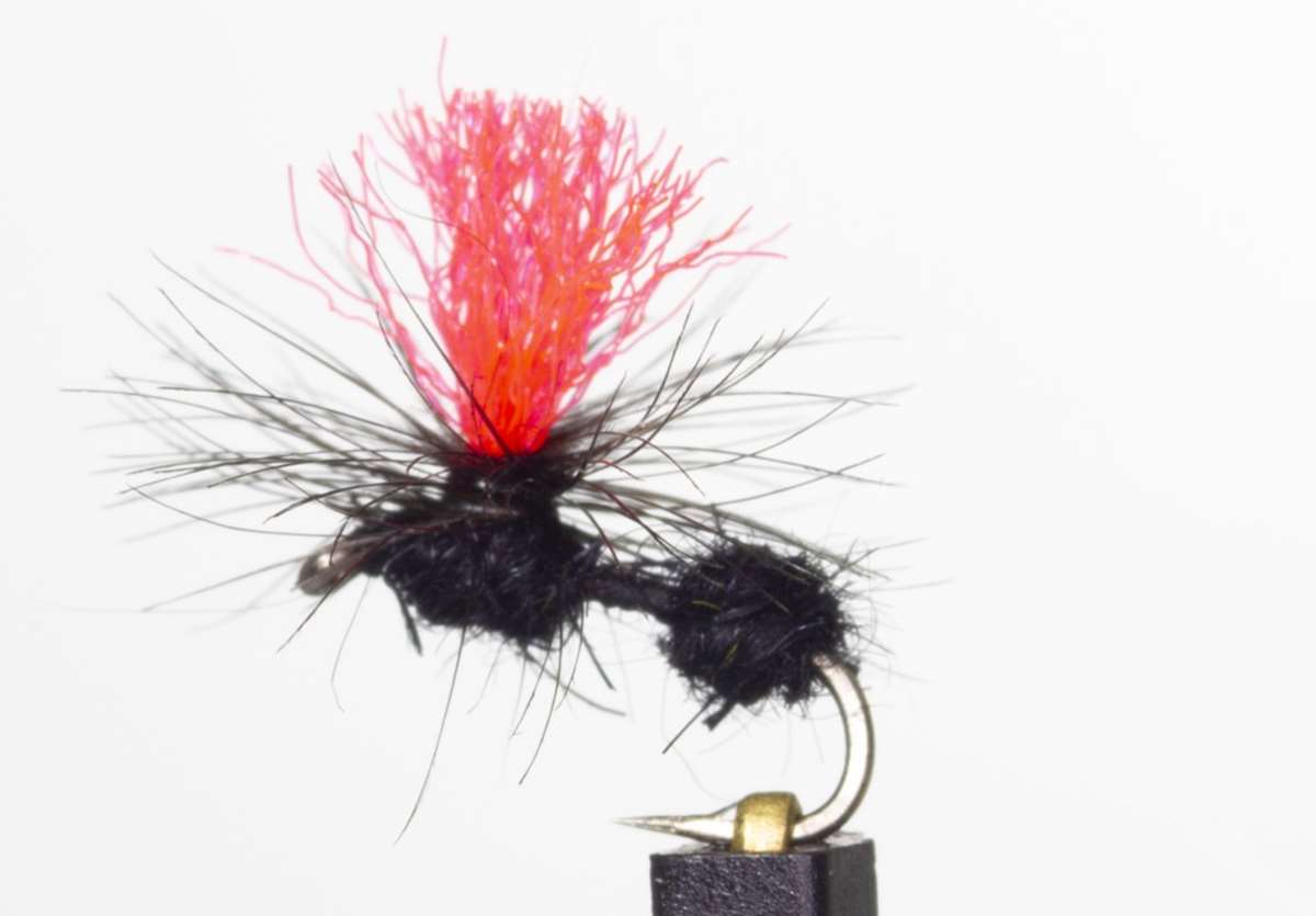 Roach & Rudd Ant Hi Vis #18 for Fishing Flies from The Essential Fly