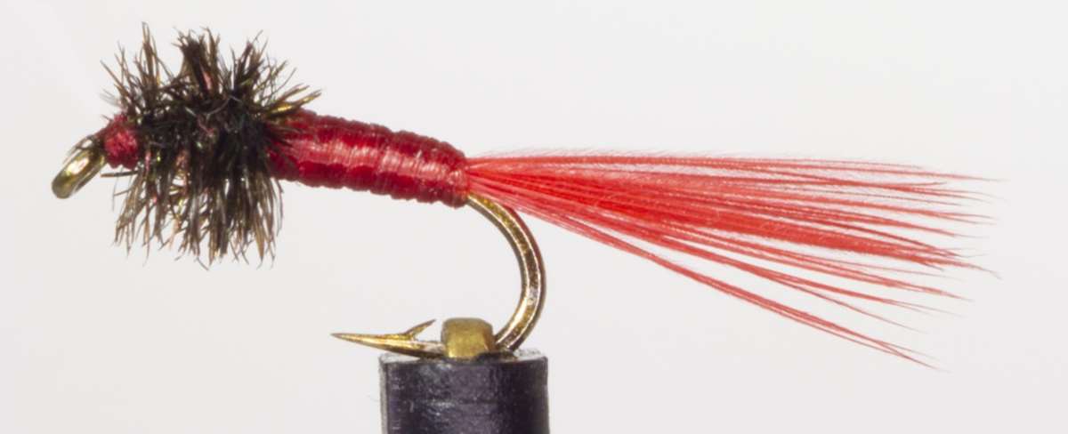 Roach & Rudd Bloodworm Micro #18 Fishing Flies|The Essential Fly