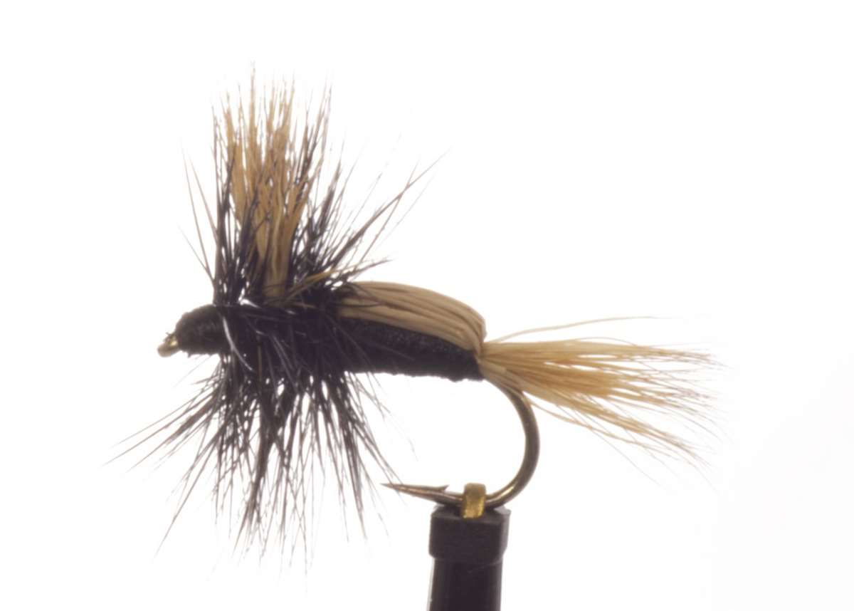 Humpy Black for Fishing Flies from The Essential Fly