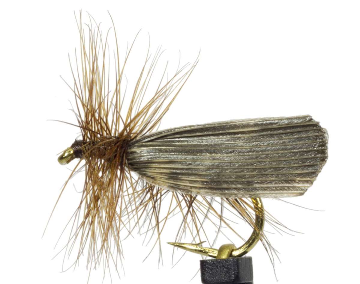 Brown Sedge for Fishing Flies from The Essential Fly