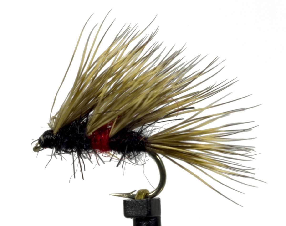 Sedgehog Bibio #14 for Fishing Flies from The Essential Fly